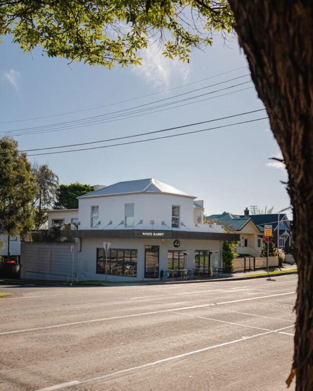 CONTACT - White Rabbit Sydney
